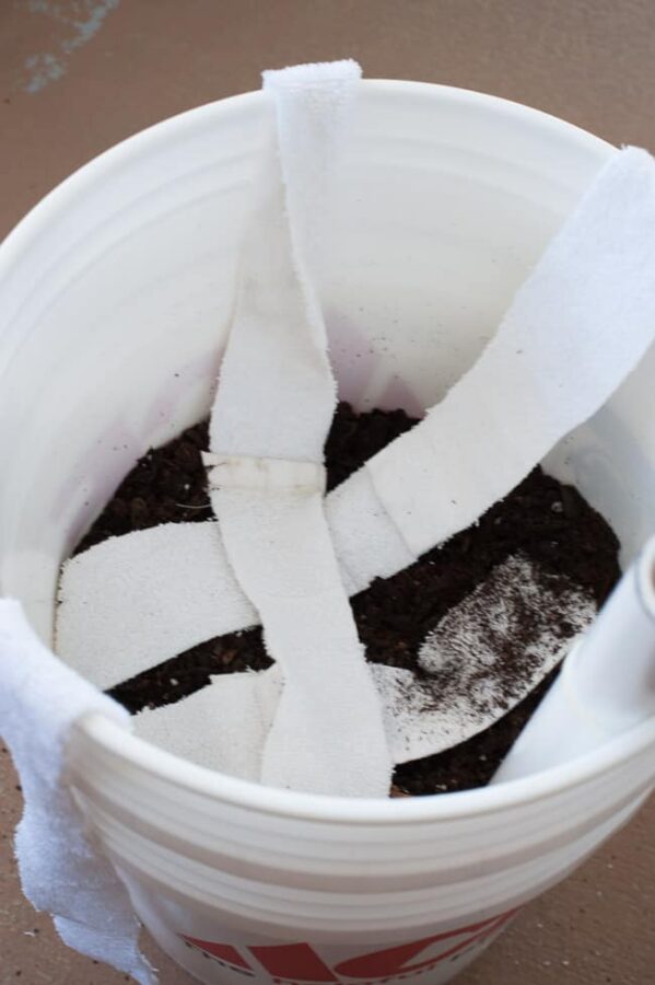 5 Gallon Self-Watering Planter
